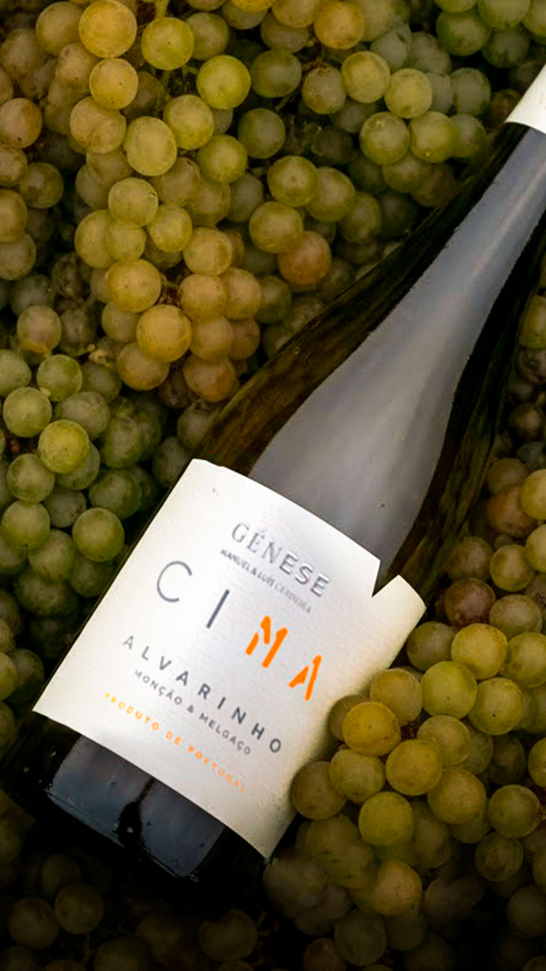 Génese Alvarinho Cima 2024 awarded 92/100 by Revista de Vinhos - VINHA